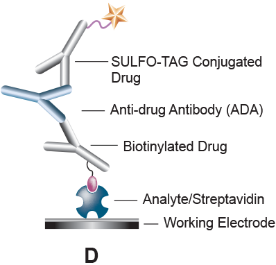 MSD GOLD Immunoassay Plates | Meso Scale Discovery