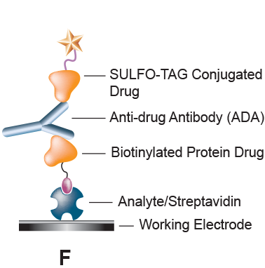 MSD GOLD Immunoassay Plates | Meso Scale Discovery